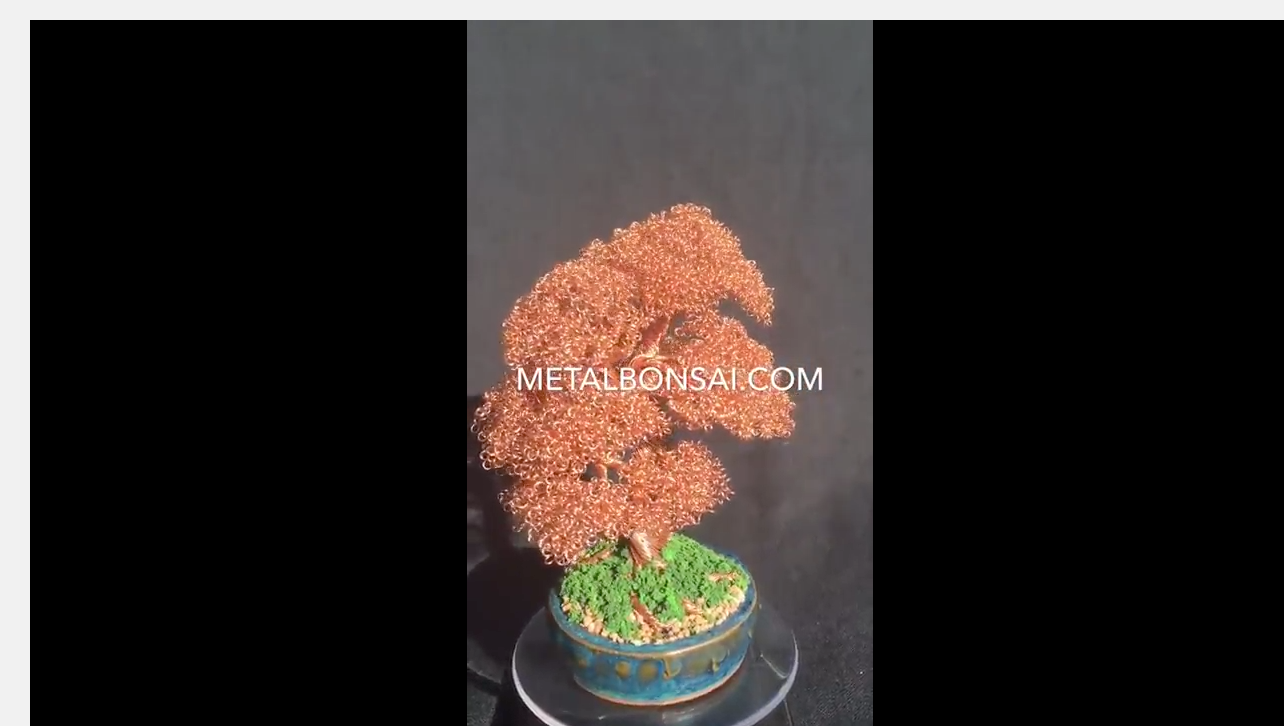 New Tree | Metal Bonsai Wire Tree Sculptures